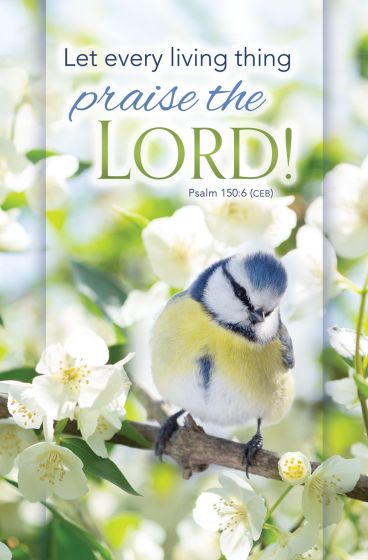 Spring Praise the Lord Bulletin (pack of 100) – Re-vived