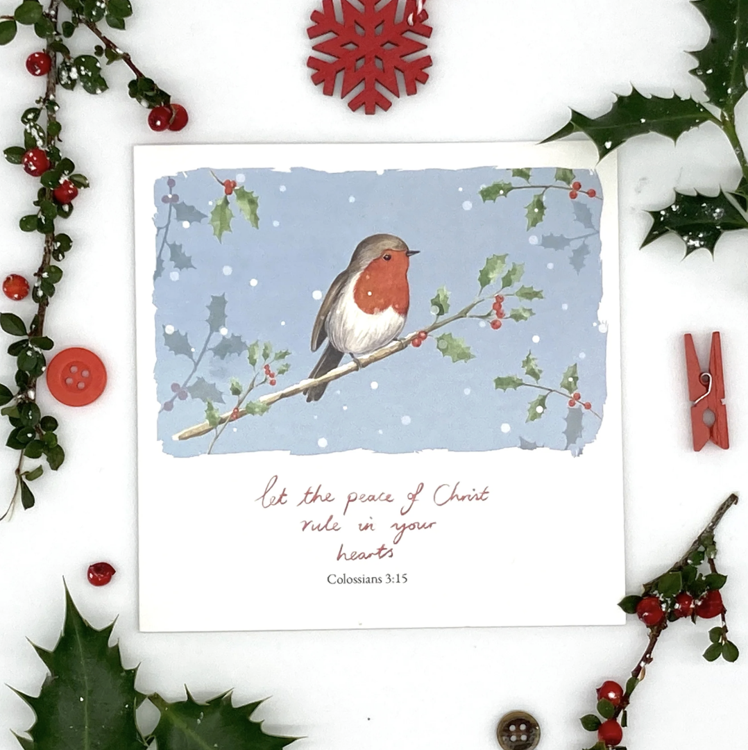 Winter Robin (Blank Inside) Christmas Cards (Pack of 5) – Re-vived