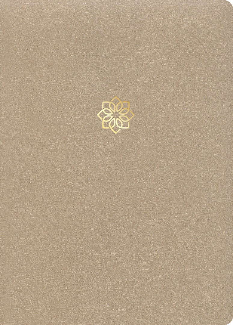 CSB Study Bible, Large Print Edition, Gold Leathertouch – Re-vived