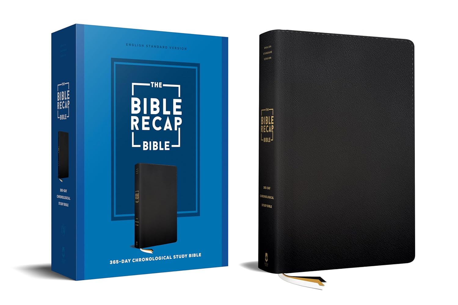 The Bible Recap 365-Day Chronological Study Bible – Re-vived