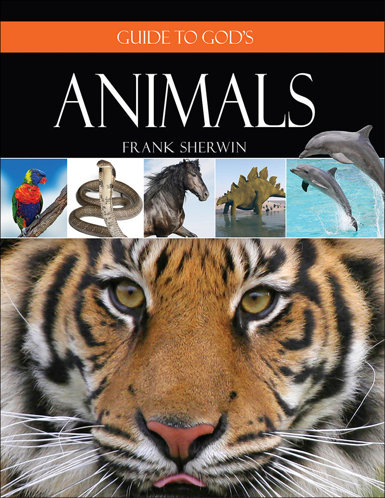 Guide To God'S Animals – Re-vived