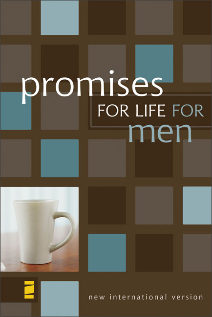 Promises For Life For Men – Re-vived