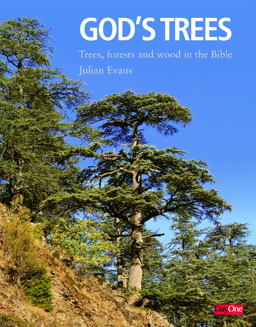 God's Trees – Re-vived