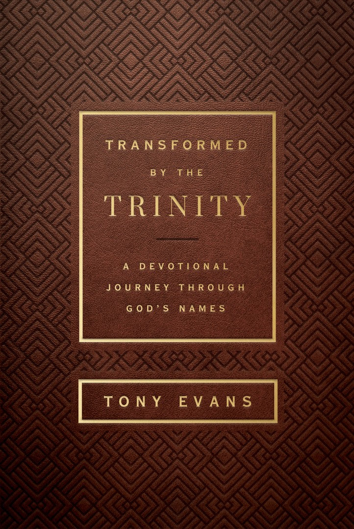 Transformed by the Trinity – Re-vived